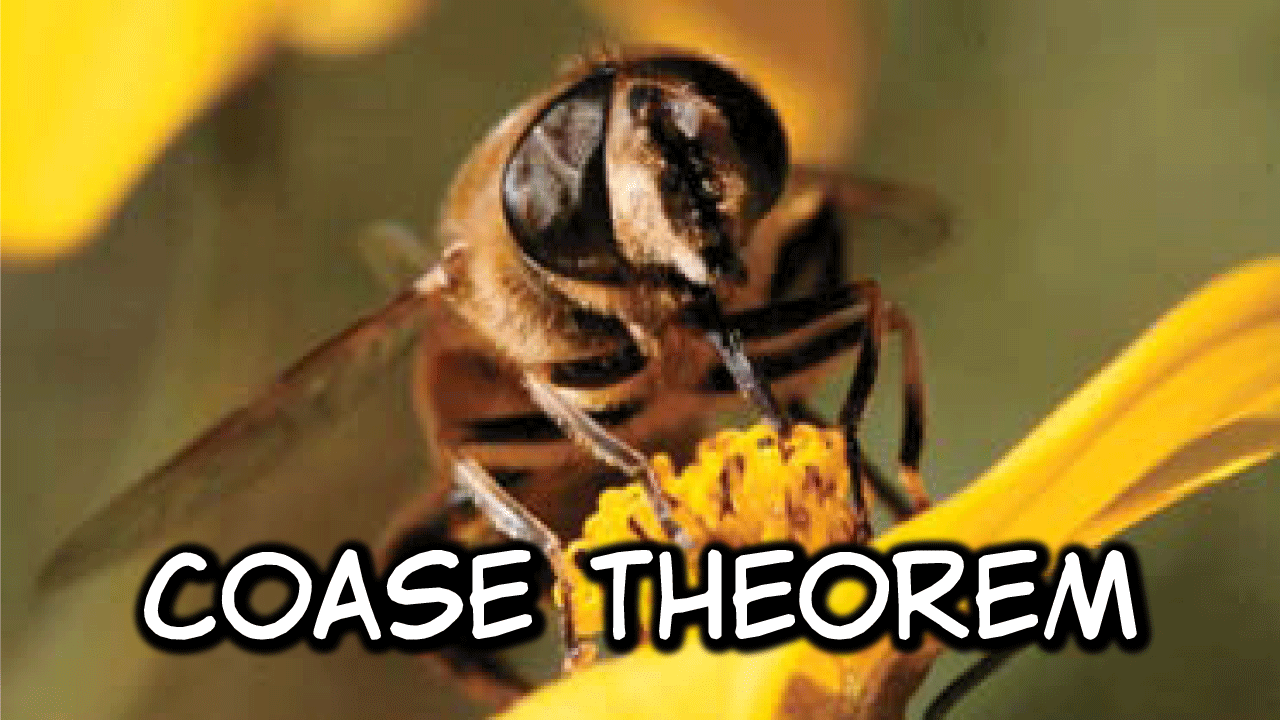 The Coase Theorem | Microeconomics Videos