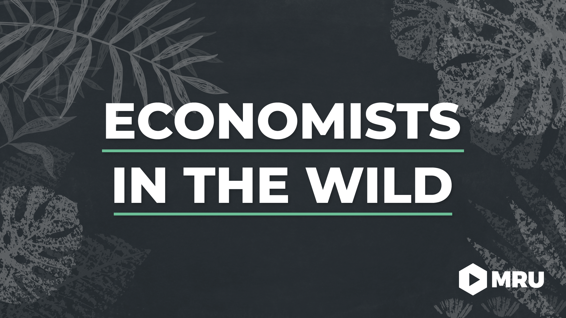 Economists in the Wild | Marginal Revolution University