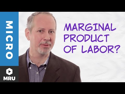 The Marginal Product of Labor | Microeconomics Videos
