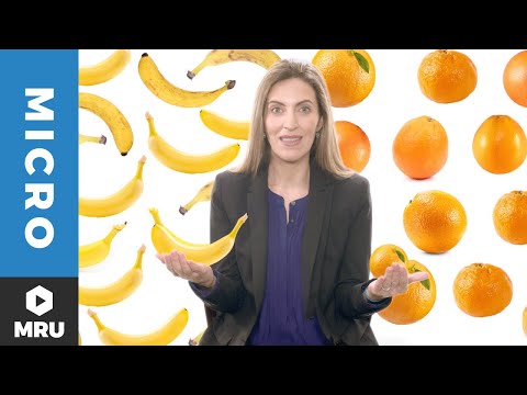 Introduction to Consumer Choice | Marginal Revolution University