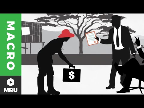 The Puzzle of Growth | Marginal Revolution University